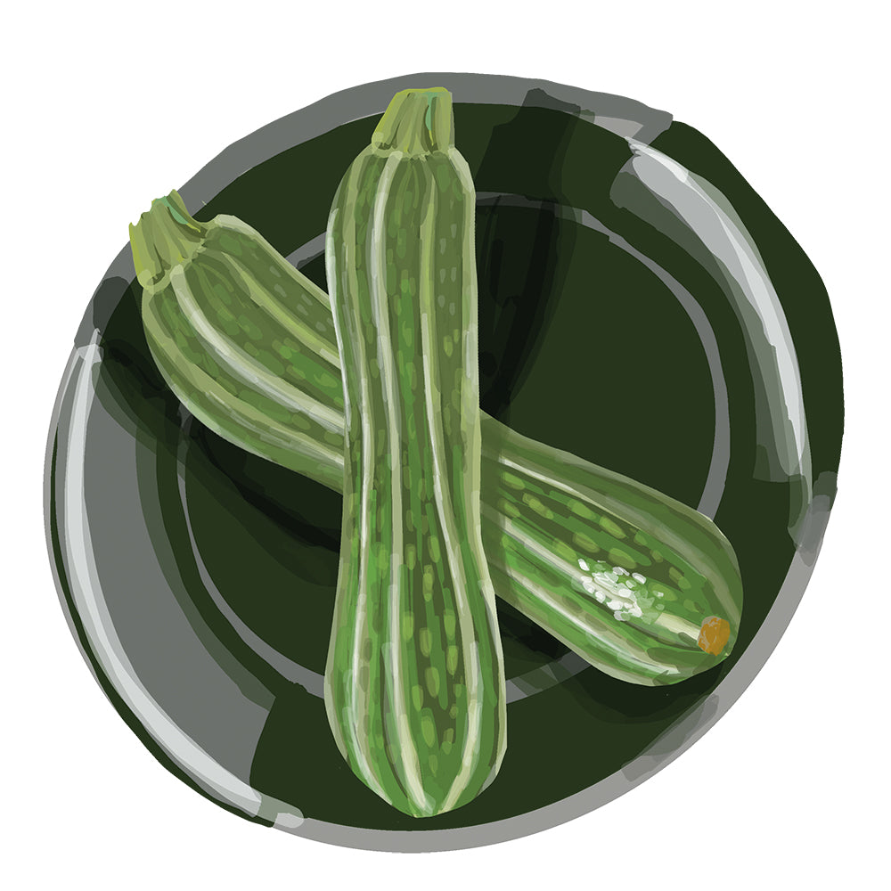 Costata Romanesco Squash | Tomato Growers Supply Co. – Tomato Growers ...