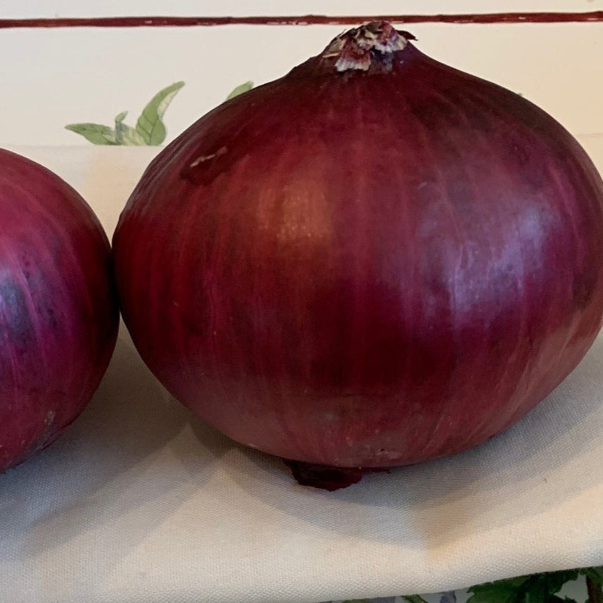 Onions – Tomato Growers Supply Company