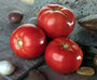 Bella Rosa VFFNA Hybrid Tomato – Tomato Growers Supply Company