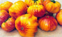 Virginia Sweets Tomato – Tomato Growers Supply Company