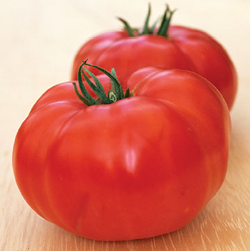 Chapman Tomato Seeds | Tomato Growers – Tomato Growers Supply Company