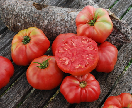 Dester Tomato – Tomato Growers Supply Company