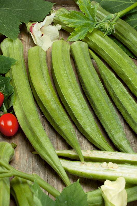 Cow Horn Okra – Tomato Growers Supply Company