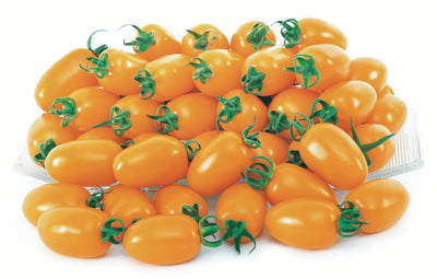 Bounty Hybrid Pepper – Tomato Growers Supply Company